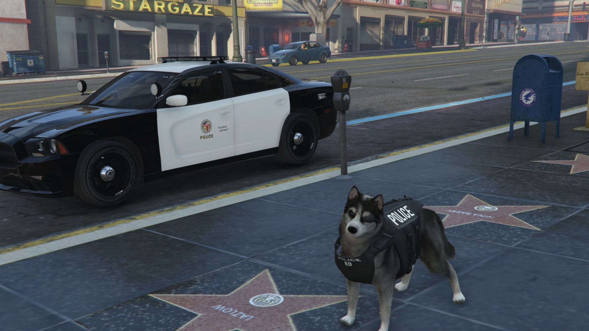 Polis Memuru K9 Birimi