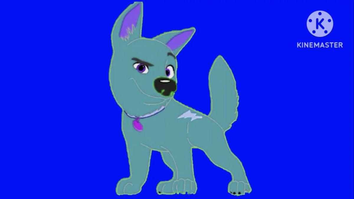 Questar Home Video | Vortex UPN Wiki | Fandom