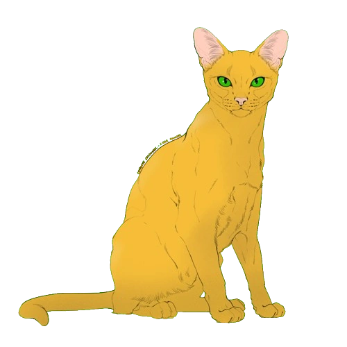 Le Crépuscule Éternel/Étoile d'Or | Wiki Vos histoires de LGDC | Fandom