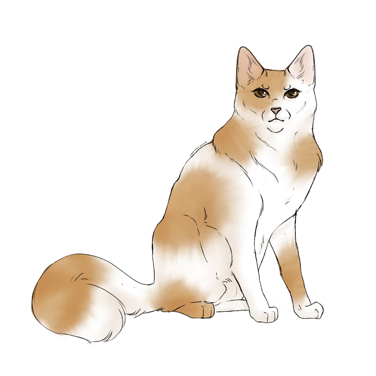 Le destin de Fleur de Sureau / Etoile du matin | Wiki Vos histoires de ...