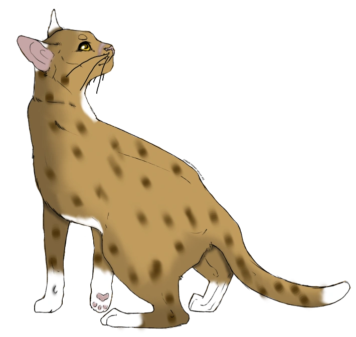 Troubles/Echo Lumineux | Wiki Vos histoires de LGDC | Fandom