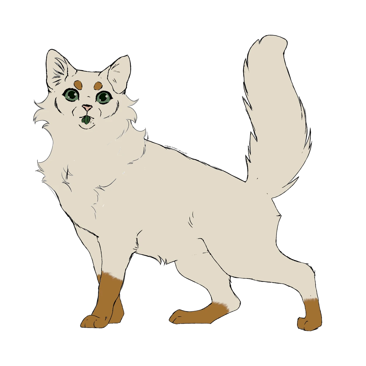 La Quête D'Aile d'Argent/Nuage D'Érable | Wiki Vos histoires de LGDC | Fandom