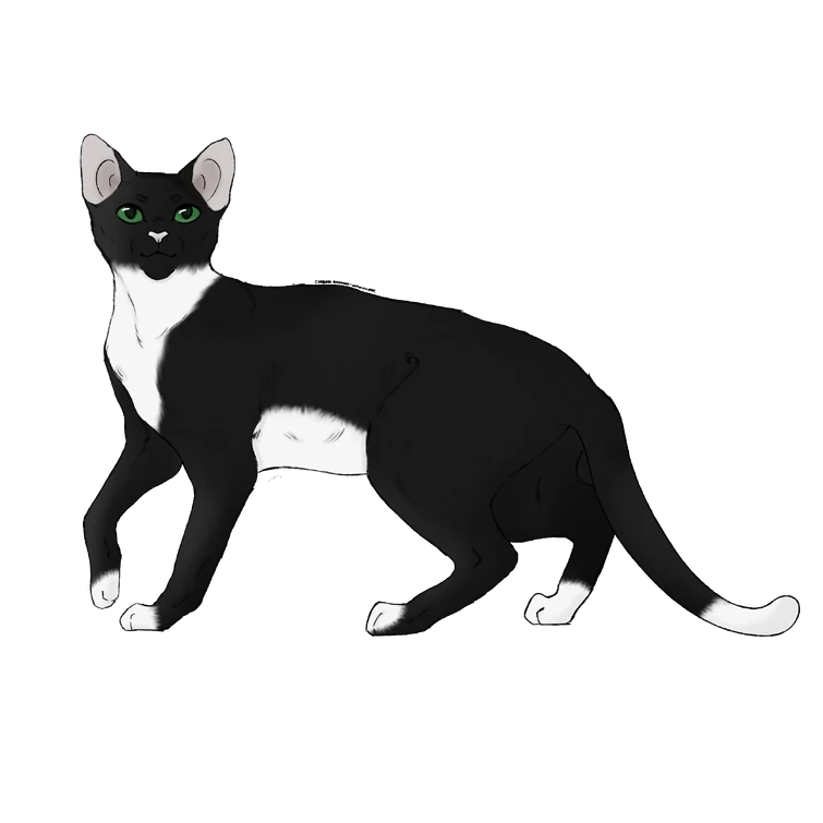 Le Crépuscule Éternel/Pelage Brillant | Wiki Vos histoires de LGDC | Fandom