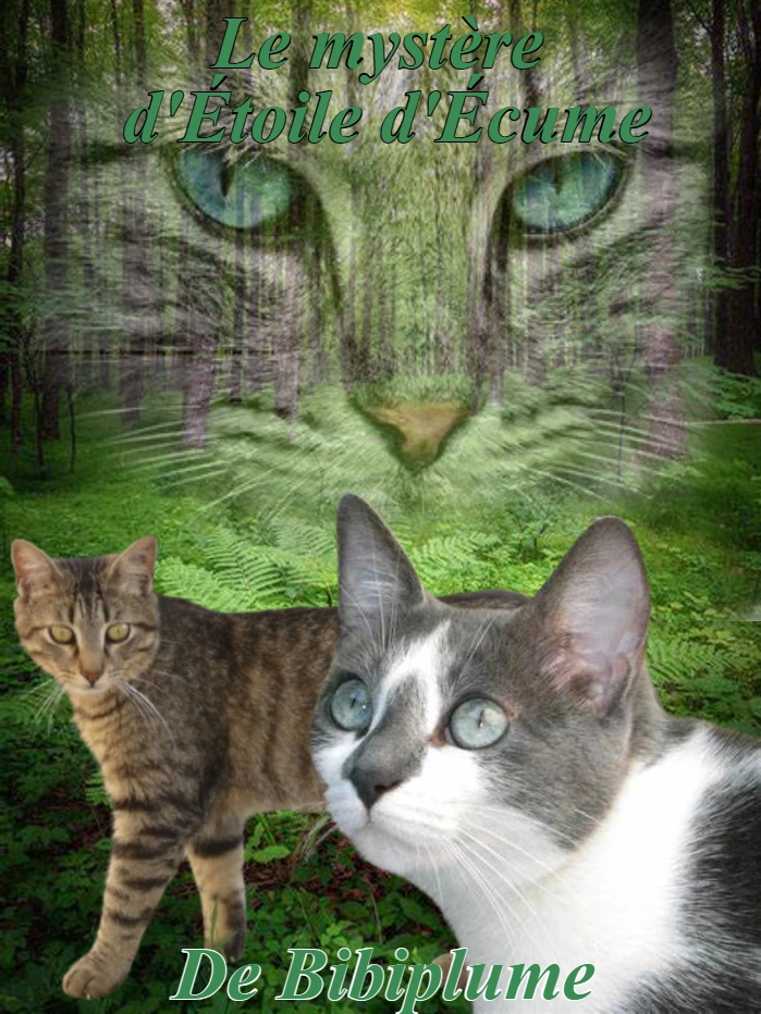 Le mystère d'Étoile d'Écume | Wiki Vos histoires de LGDC | Fandom