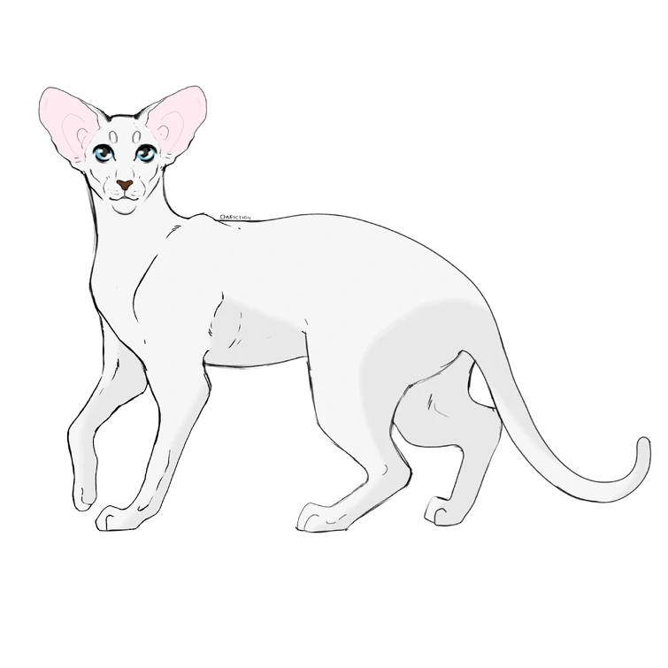 Le Crépuscule Éternel/Lune Claire | Wiki Vos histoires de LGDC | Fandom