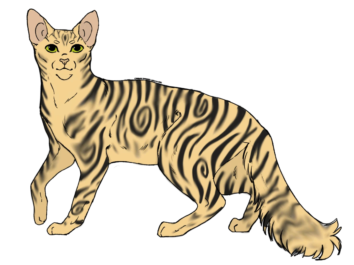 Le Destin de la Tribu/Pelage d’Abeille | Wiki Vos histoires de LGDC | Fandom