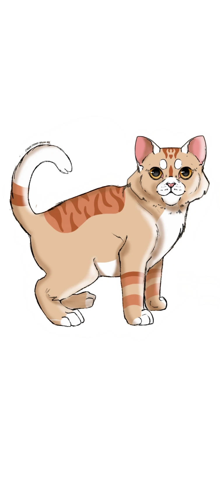 Le Crépuscule Éternel/Petit Poil | Wiki Vos histoires de LGDC | Fandom