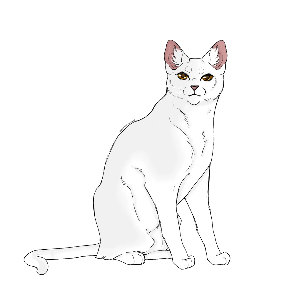 La foudre du combat/Étoile de Lumière | Wiki Vos histoires de LGDC | Fandom