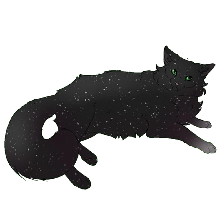 L'ère des nouveaux Clans/Étoile de Nuit | Wiki Vos histoires de LGDC ...