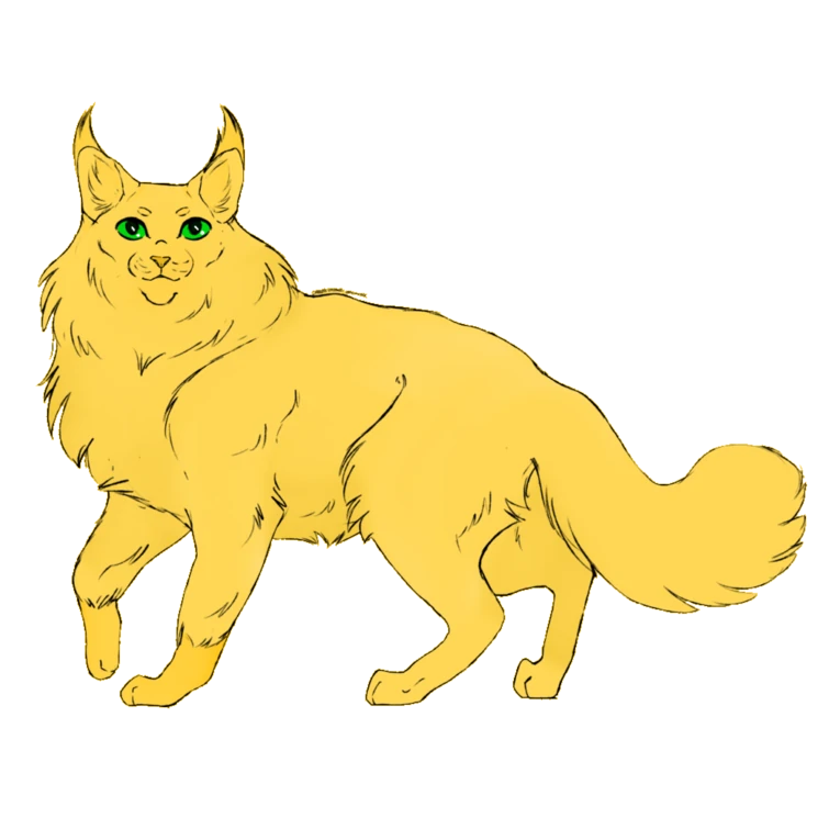 Le Choucas perdu/Pelage ensoleillé | Wiki Vos histoires de LGDC | Fandom