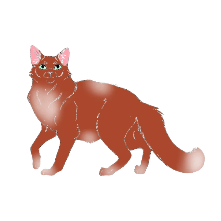 Le chemin de Cœur Solitaire/Poil de Feu | Wiki Vos histoires de LGDC | Fandom