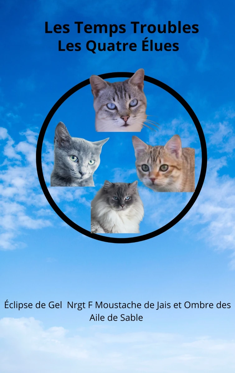 Les Quatres Élus | Wiki Vos histoires de LGDC | Fandom