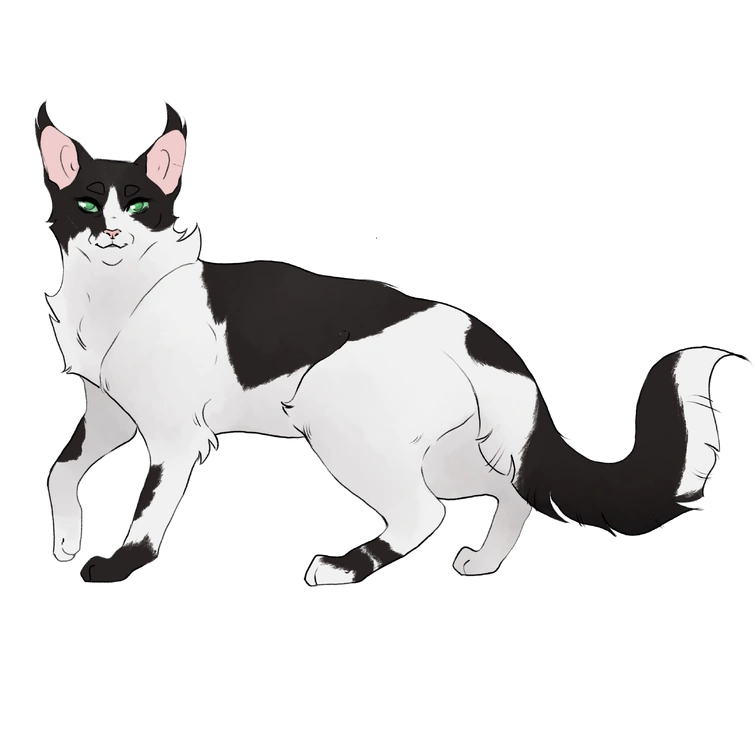 The Wisper of the stars/Patte de Héron | Wiki Vos histoires de LGDC ...