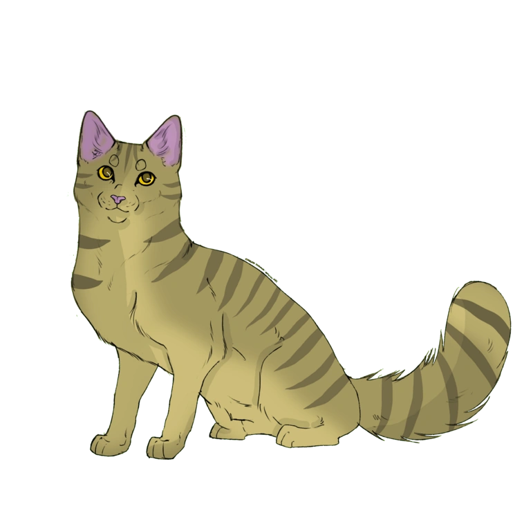 Le Serment de Pas de Biche/Aile de Papillon | Wiki Vos histoires de ...