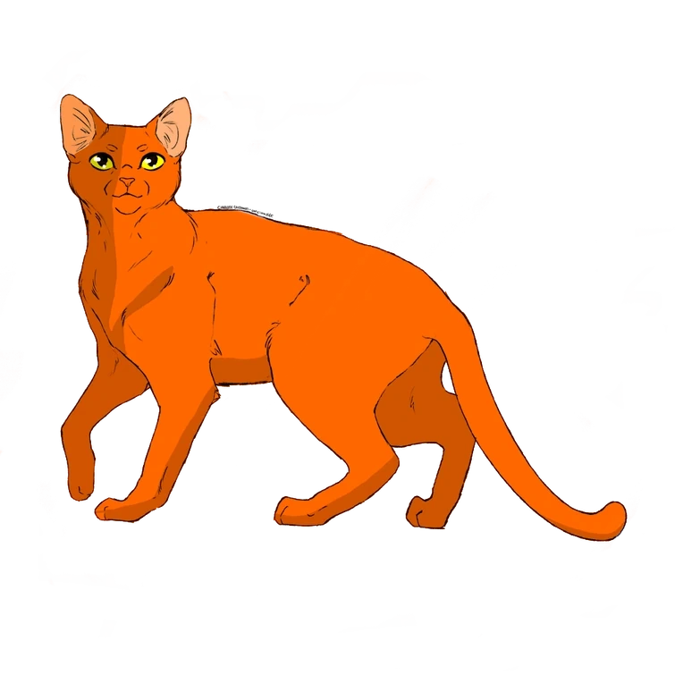 Le Crépuscule Éternel/Poil de Mulot | Wiki Vos histoires de LGDC | Fandom