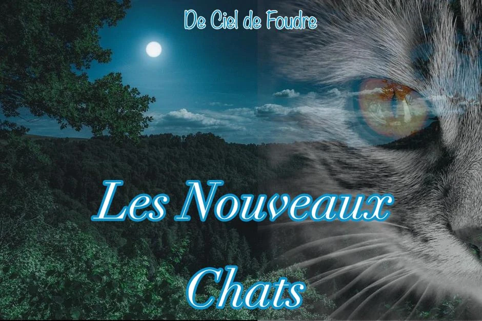 Les nouveaux chats | Wiki Vos histoires de LGDC | Fandom