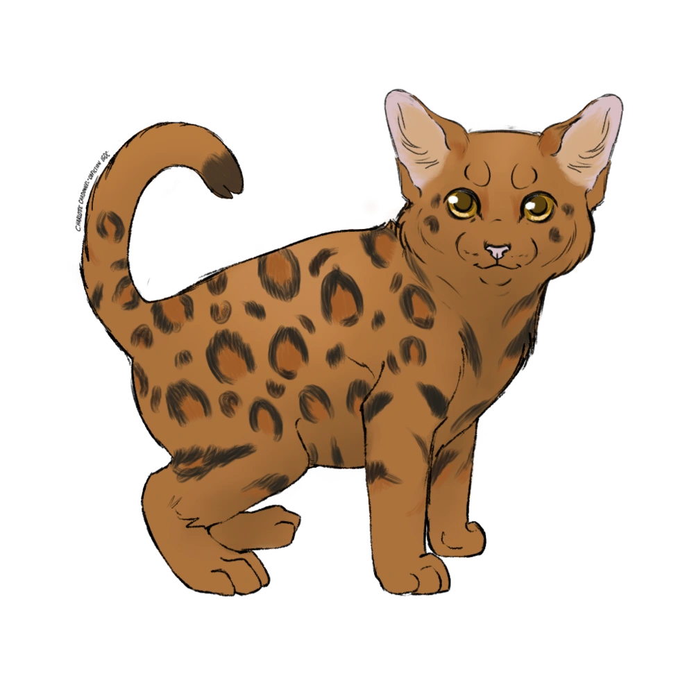 Néant/Petit Rameau | Wiki Vos histoires de LGDC | Fandom