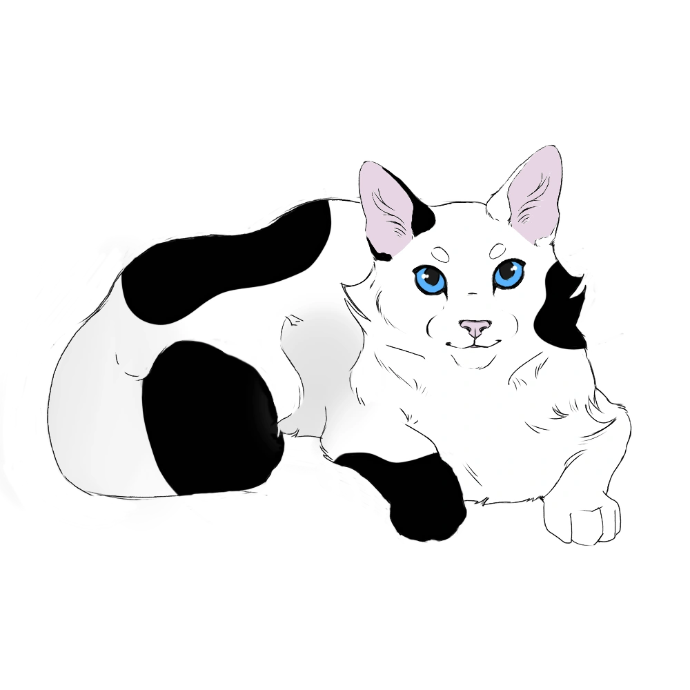 Le règne d’Étoile Sombre/Étoile Brillante | Wiki Vos histoires de LGDC ...