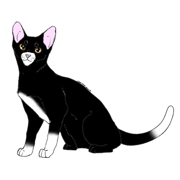 Le destin de Fleur de Sureau / Nuage noir | Wiki Vos histoires de LGDC ...