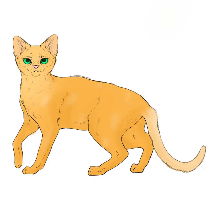 Les trois sœurs | Wiki Vos histoires de LGDC | Fandom