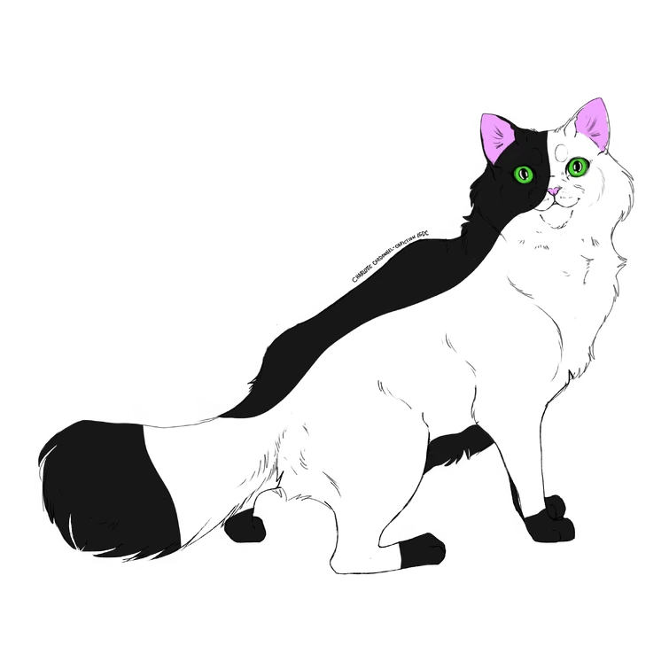 Une ère de changements et de dangers au sein des Clans/Gerboise | Wiki ...