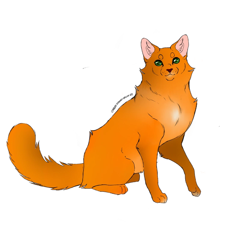 Une Ère de Danger/Étoile de Feu | Wiki Vos histoires de LGDC | Fandom