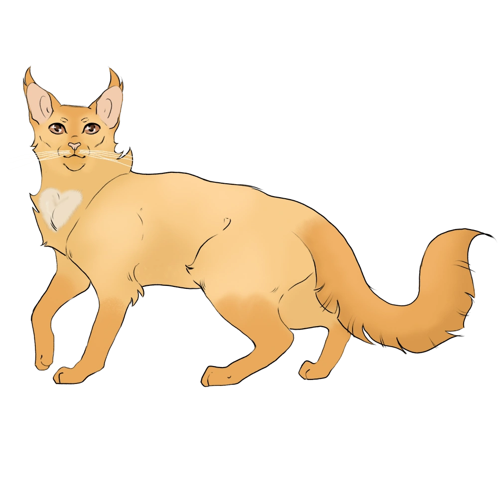 Soleil levant/Coeur Blond | Wiki Vos histoires de LGDC | Fandom