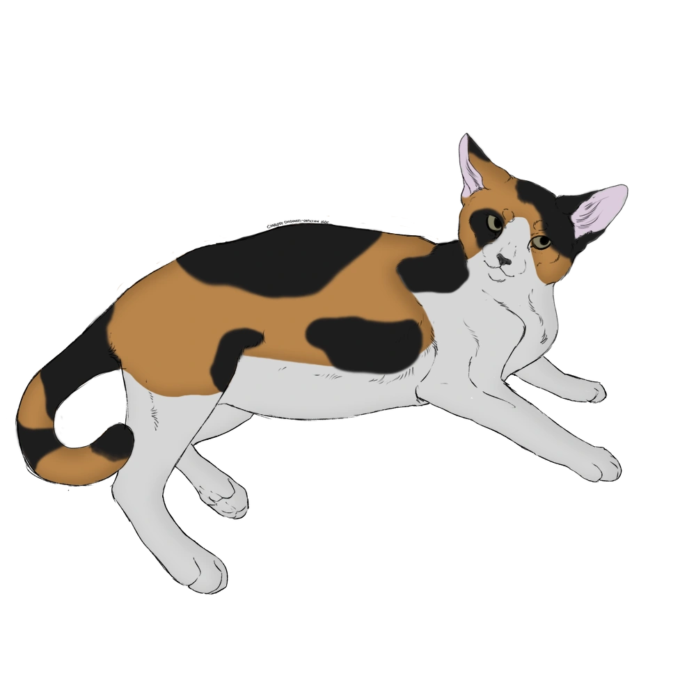 Le destin de Cœur des Vagues/Douce-Pâquerette | Wiki Vos histoires de ...