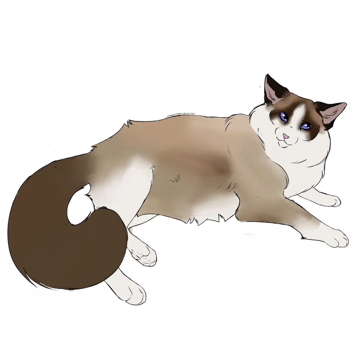 Nouvelles prophétie/Soleil de Lavande | Wiki Vos histoires de LGDC | Fandom