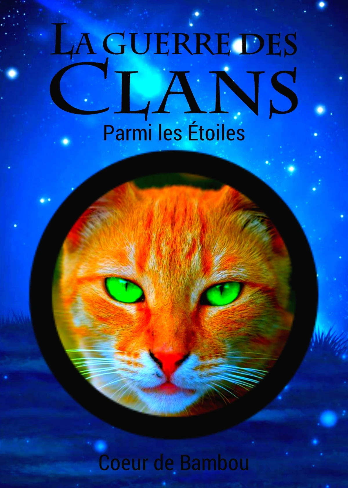 Parmi les Étoiles | Wiki Vos histoires de LGDC | Fandom