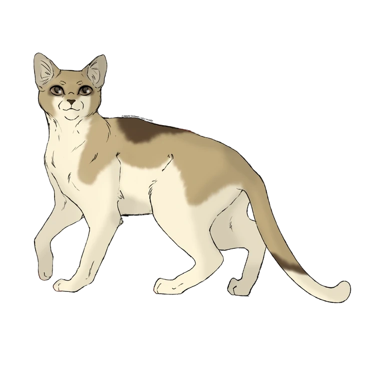 Le Crépuscule Éternel/Plume de Noix | Wiki Vos histoires de LGDC | Fandom