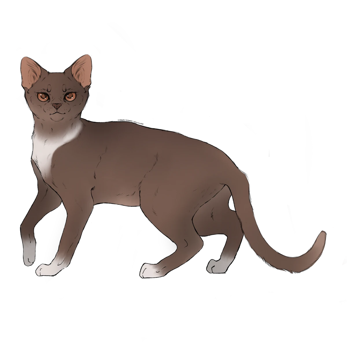 Héritages/Cœur de Martre | Wiki Vos histoires de LGDC | Fandom