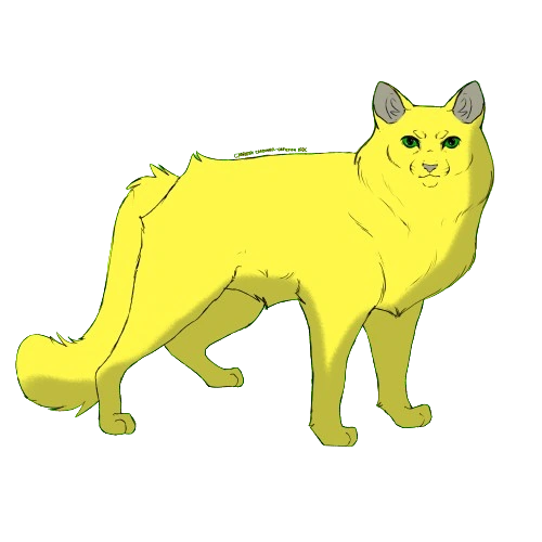 Les Histoires Communes/Mousse | Wiki Vos histoires de LGDC | Fandom