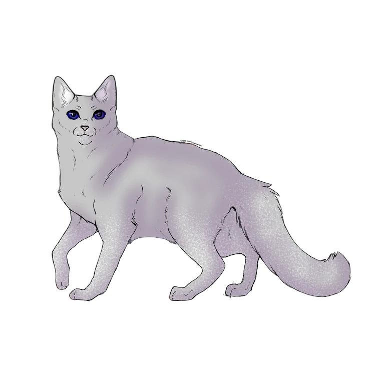 Le destin de Fleur de Sureau / Plume de glace | Wiki Vos histoires de ...