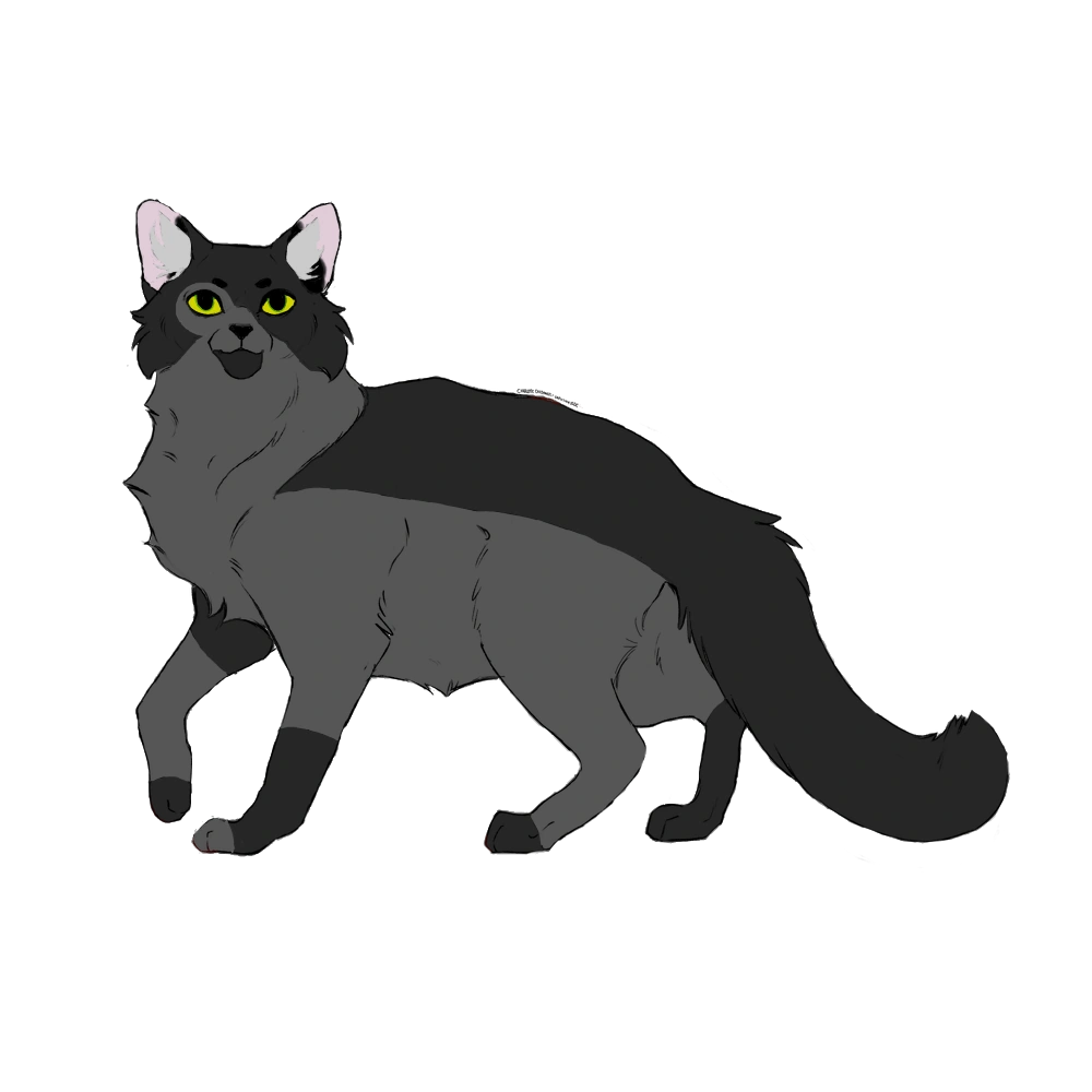 Les Souvenirs De La Forêt/Orage Noir | Wiki Vos histoires de LGDC | Fandom