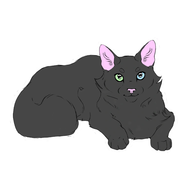 Le règne d’Étoile Sombre/Étoile du Loup | Wiki Vos histoires de LGDC ...