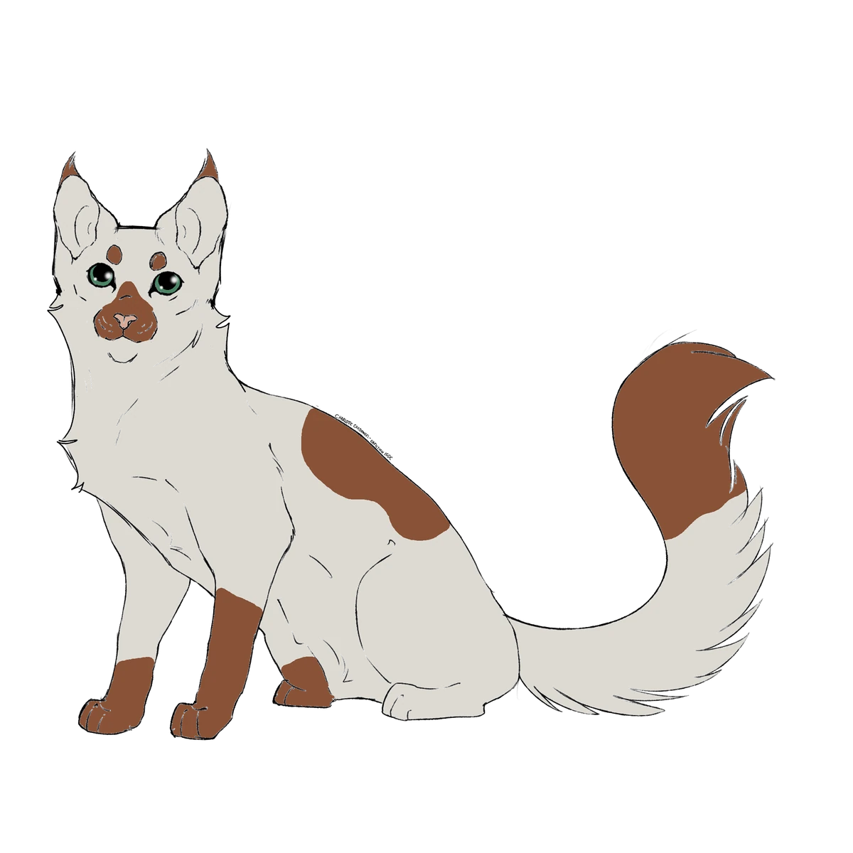 La Quête d'Aile d'Argent / Nuage Du Ciel | Wiki Vos histoires de LGDC | Fandom