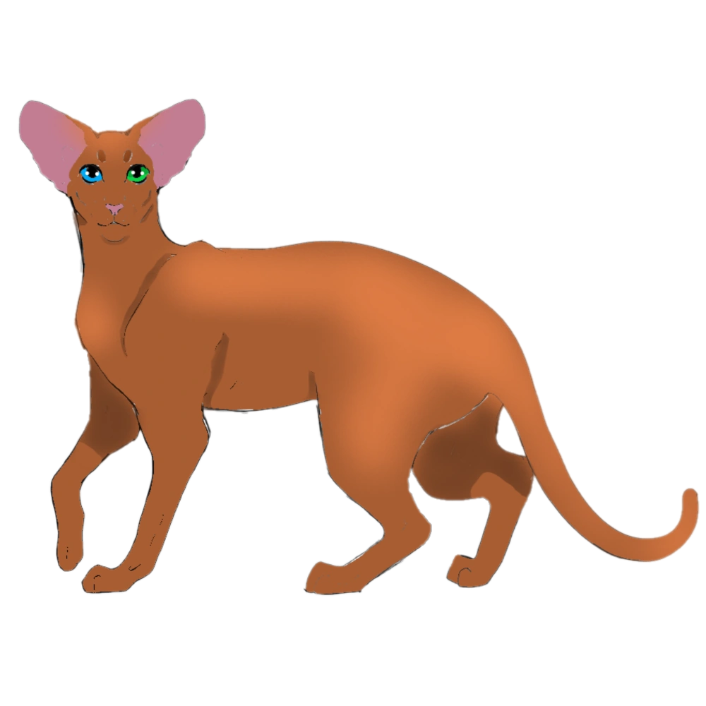 La malédiction des étoiles/Coeur des Forêt | Wiki Vos histoires de LGDC ...