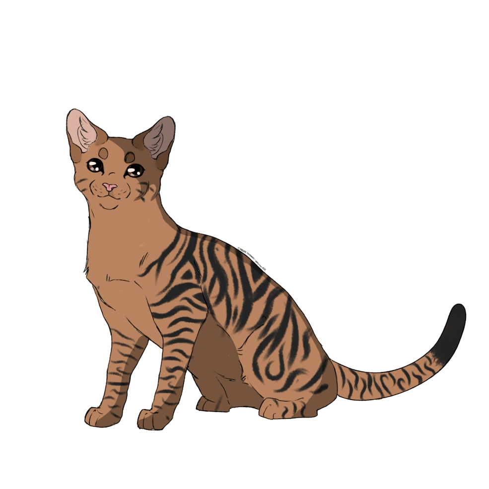 Tragédie/Étoile de Pompon | Wiki Vos histoires de LGDC | Fandom