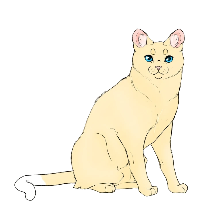 Le Crépuscule Éternel/Guide Illustré | Wiki Vos histoires de LGDC | Fandom