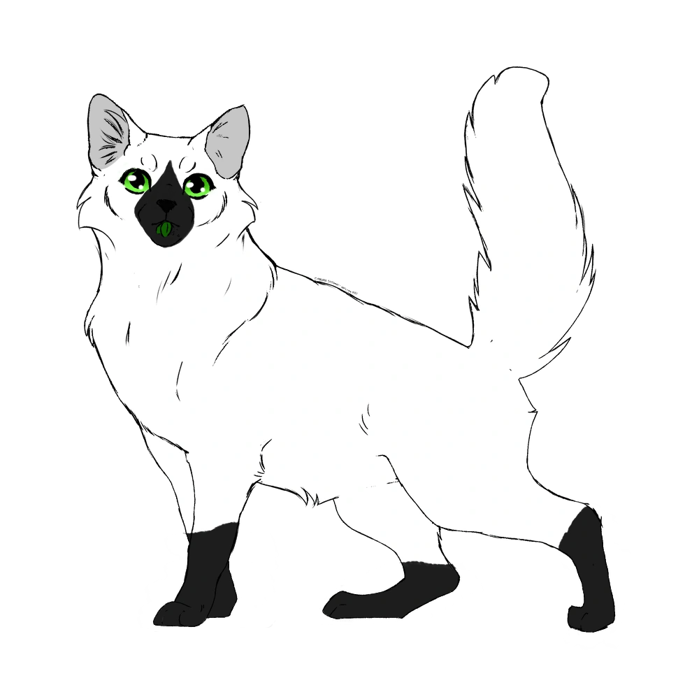 Les Souvenirs de la Forêt/Rose Blanche | Wiki Vos histoires de LGDC ...