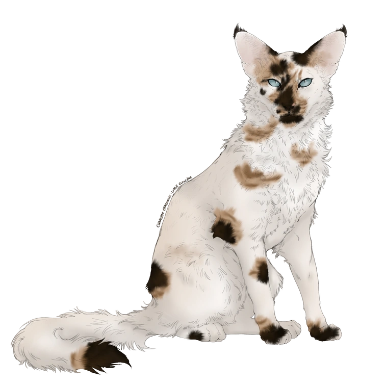 Rongés par le temps/Étoile Déchue | Wiki Vos histoires de LGDC | Fandom