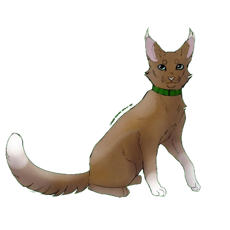 Les Histoires Communes/Plume (T3) | Wiki Vos histoires de LGDC | Fandom