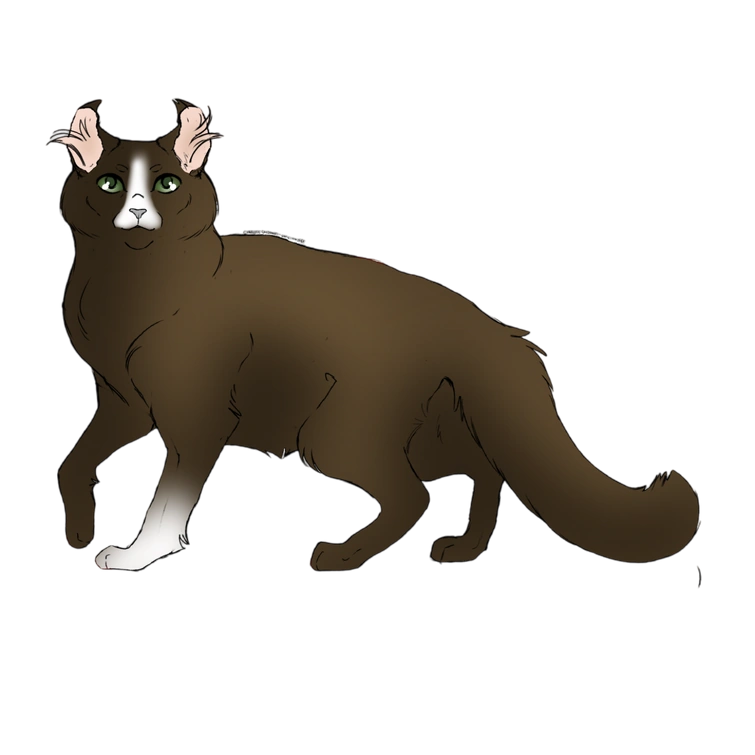 Soleil et Lune/Poil de Biche | Wiki Vos histoires de LGDC | Fandom