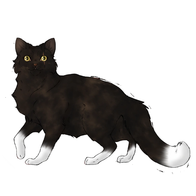 Le Temps des Secrets/Rosier Sauvage | Wiki Vos histoires de LGDC | Fandom