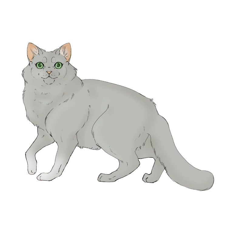 Le Temps des Secrets/Poil de Brouillard | Wiki Vos histoires de LGDC ...