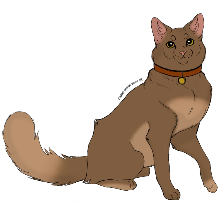 Les secrets des souterrains/Chatouille | Wiki Vos histoires de LGDC ...