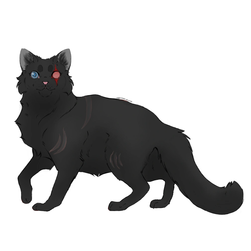 Néant/Œil Rouge | Wiki Vos histoires de LGDC | Fandom