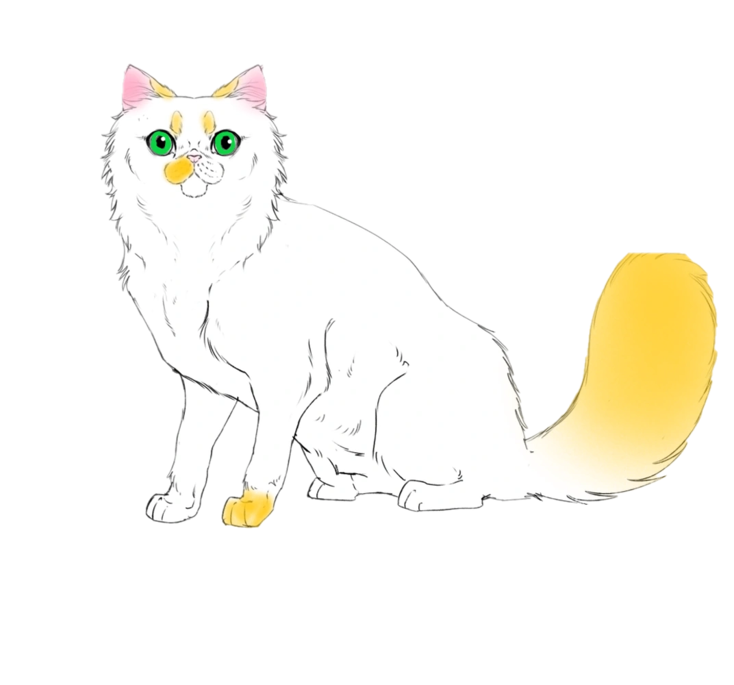 Le destin de Cœur des Vagues/Nuage du Jour | Wiki Vos histoires de LGDC ...