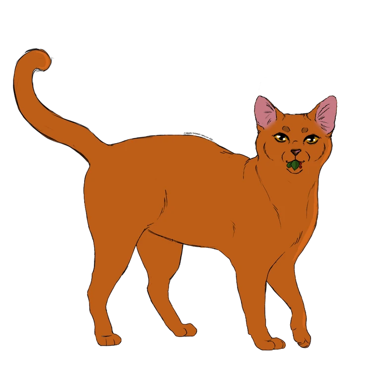 La destinée d'Étoile Brillante/Cœur d'Aulne | Wiki Vos histoires de ...